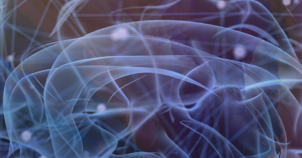 Big Data Neuroscience Workshop | Center for Cognitive and Behavioral ...