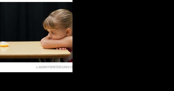 The Neuroscience of Self-Control | Center for Cognitive and Behavioral ...